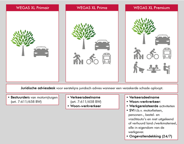 WEGAS XL | Turien & Co.