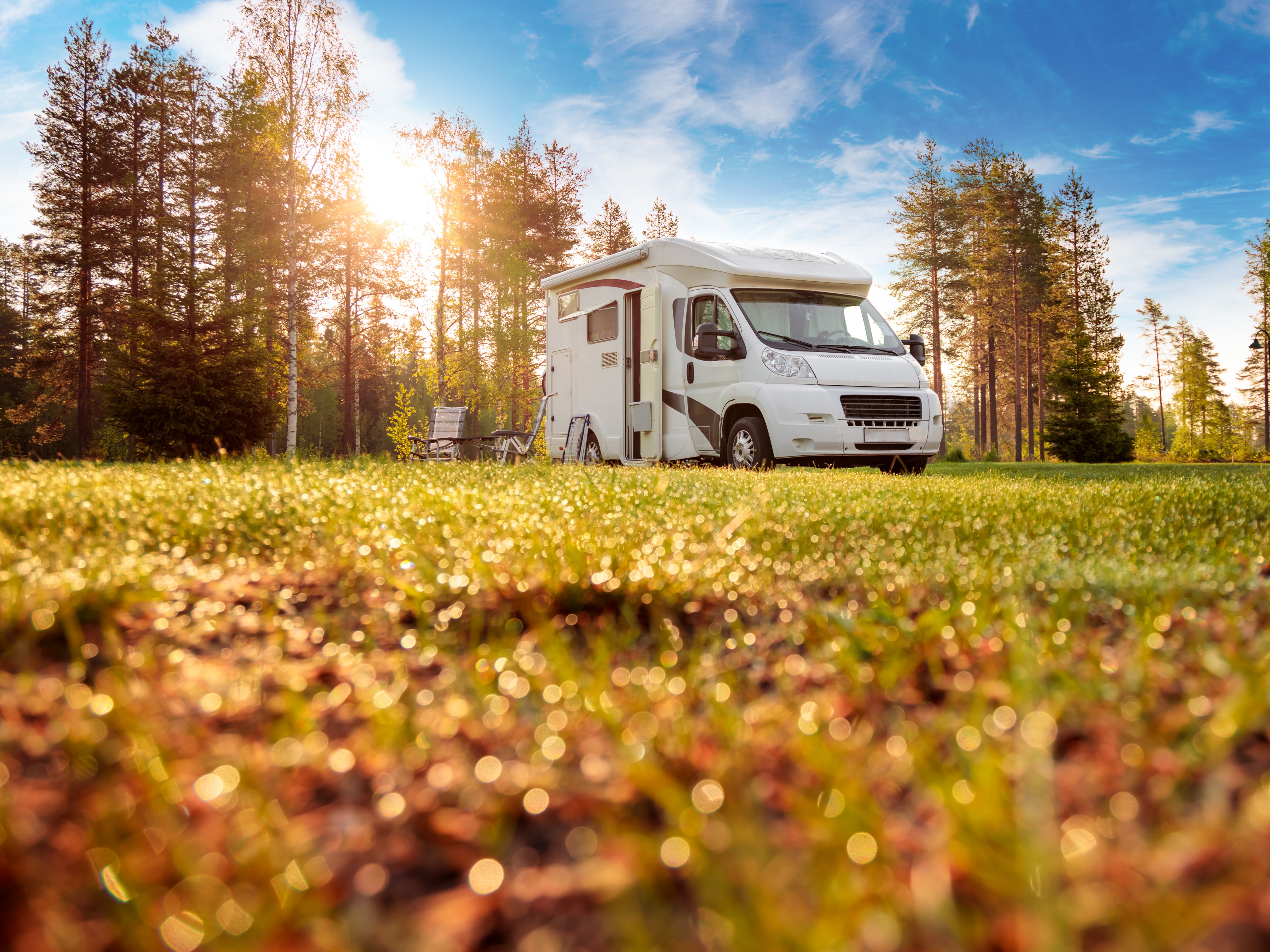 Schade | Turien & Co.